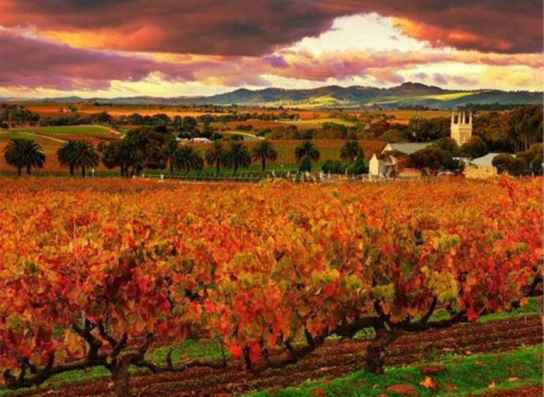 A Guide to Victorian Wine - The Monk